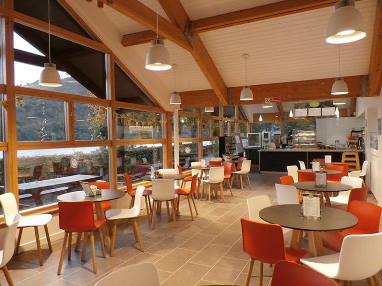 Create the Perfect Lighting Design for Cafes | Asco Lights - Brilliant ...